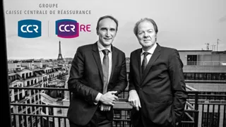 CCR handles largest ever claim; counters with 17% growth in global rei ...